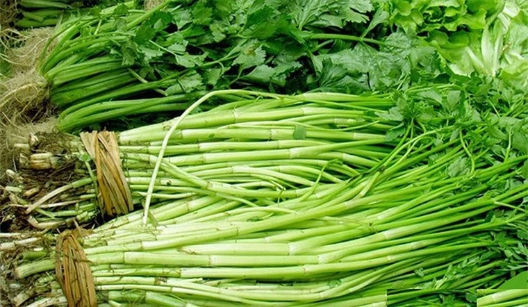 Phát hiện kén sán trong mô xương đùi và cẳng chân bệnh nhân