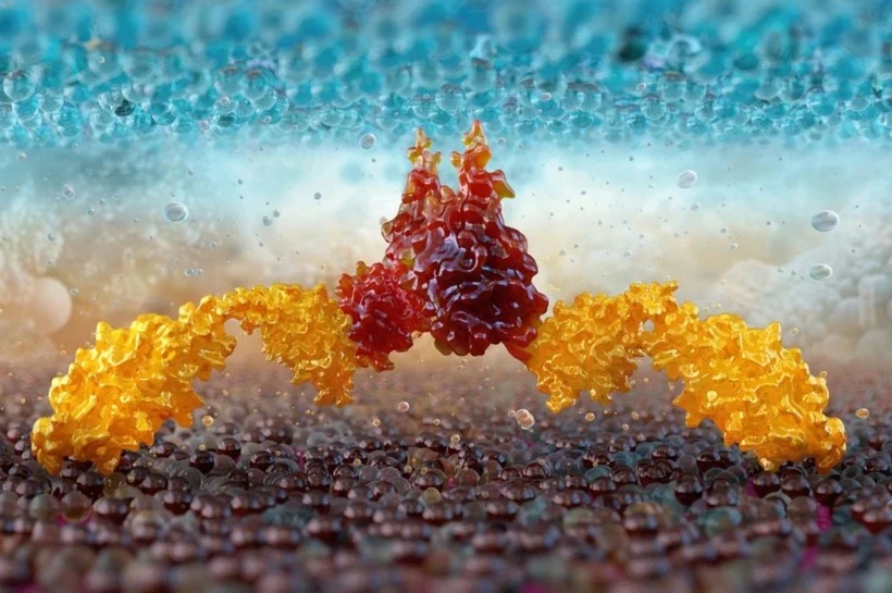 Trung Quốc tìm ra liệu pháp tế bào miễn dịch chữa ung thư