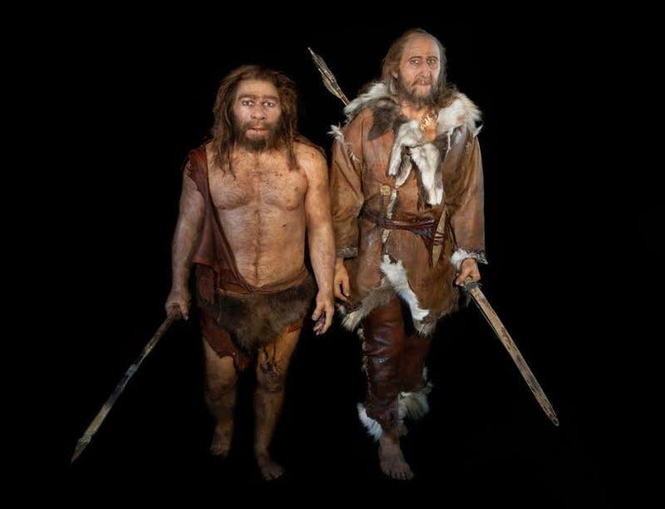 New discoveries about the relationship between Neanderthals and modern ...