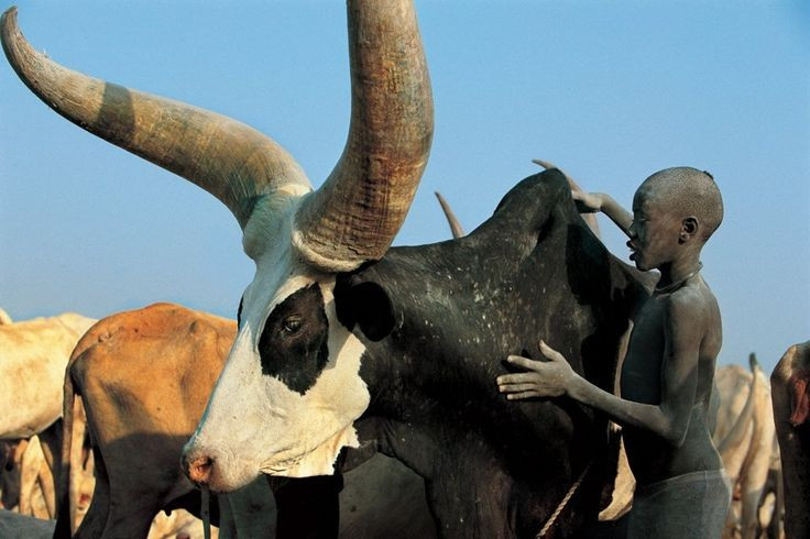 The Dinka people: the tallest ethnic group in the world and their ...